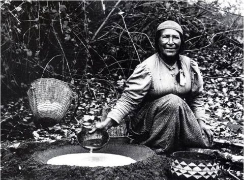 The Mighty Acorn: Eat Your Way Back Into The Web Of Life - Go Wild ...